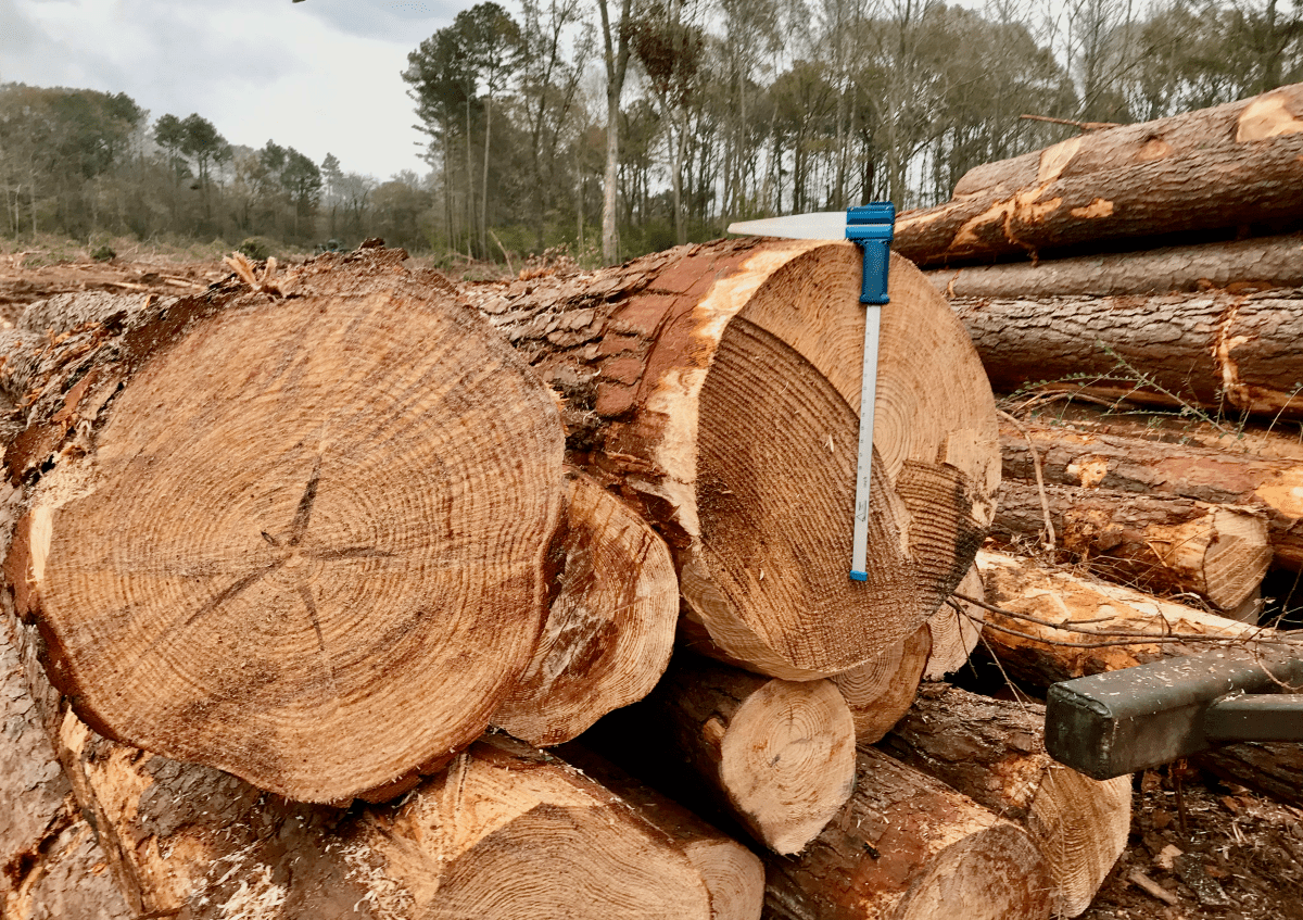 STEMS: Stem-Profile Model – The Forest Technology Blog